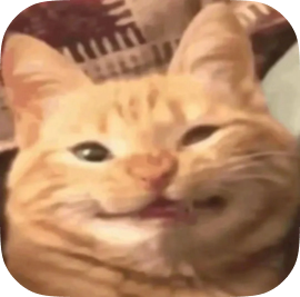 LOLCat Translator - Turn Your Text into Cat Speak!